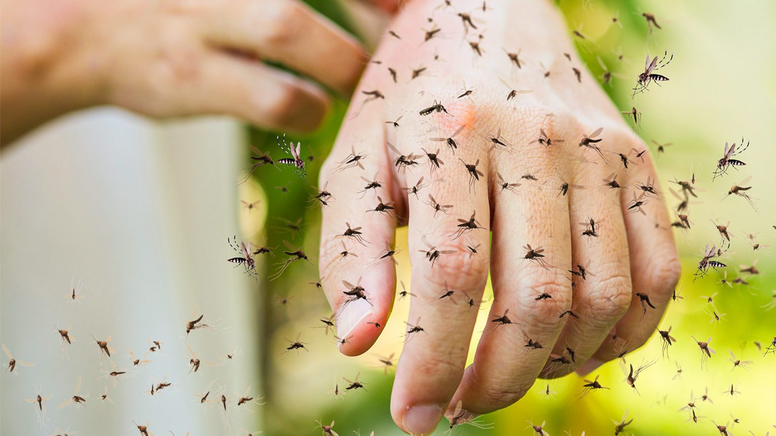 What Happens If You Were Bitten by One Million Mosquitoes? | What If Show