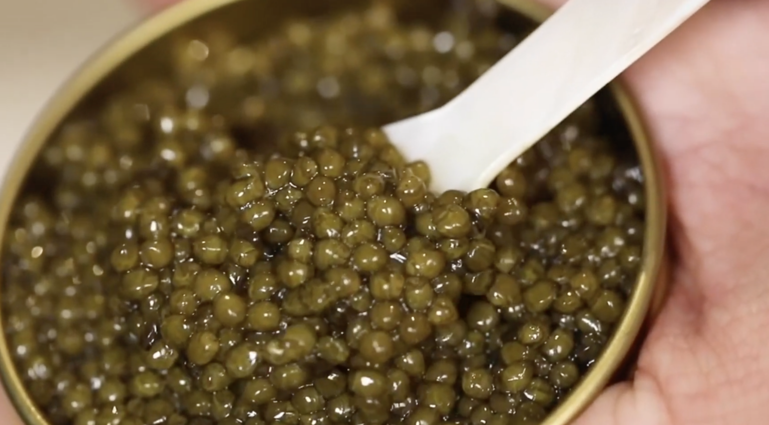 What Happens If You Eat Nothing But Caviar for a Month? | What If Show