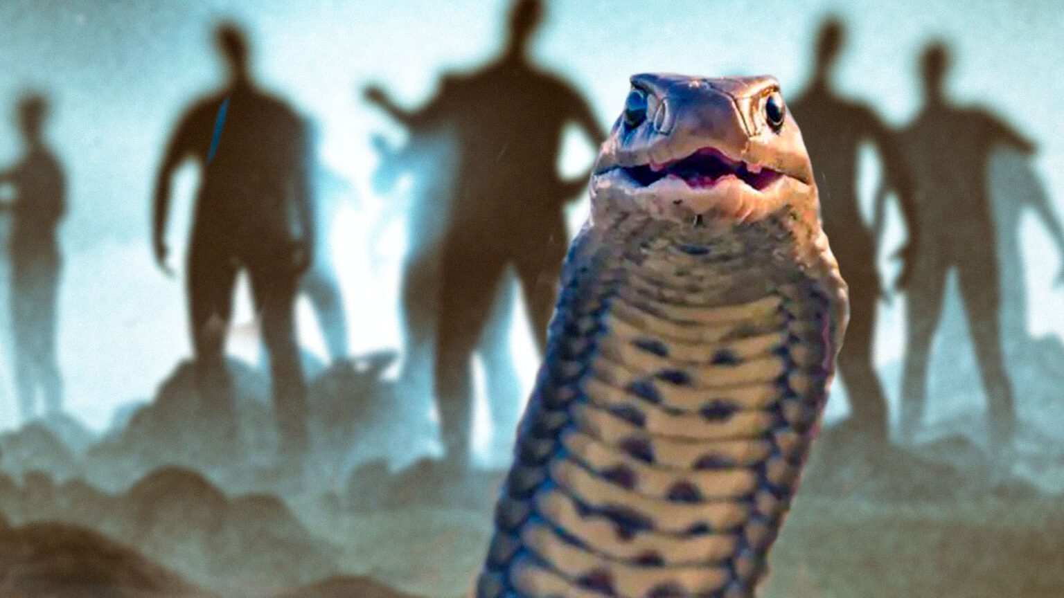 Discover What Would Happen to Ecosystems If We Killed All Snakes | What ...
