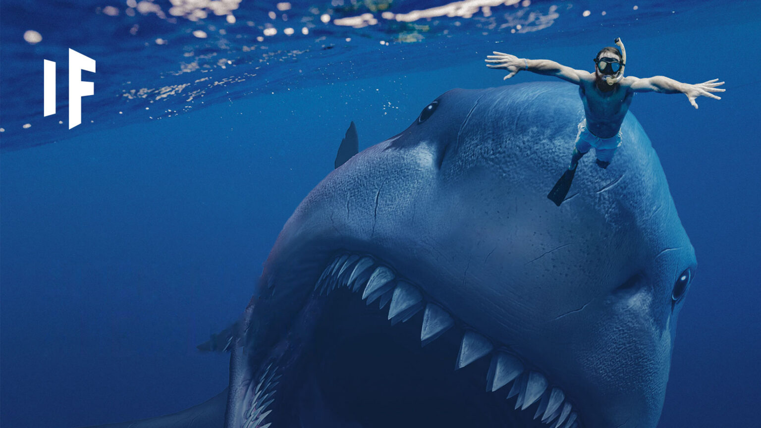 Discover What Would Happen If a Megalodon Attacked a Human | What If Show